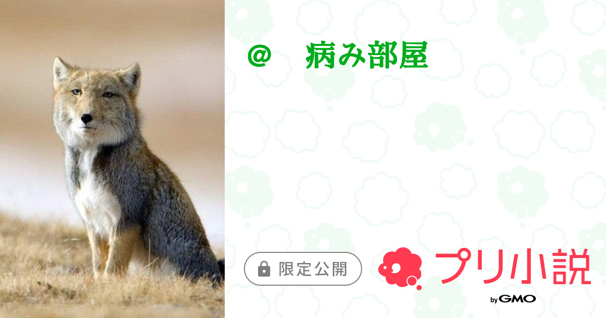 病み部屋 【連載中】（ チベスナの化身 な はぐれ ． さんの小説） 無料スマホ夢小説ならプリ小説 Bygmo
